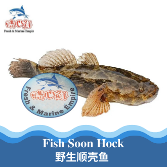 Fish Soon Hock (Marble Goby) / 野生顺壳鱼 / Ikan Ketutu | Lazada