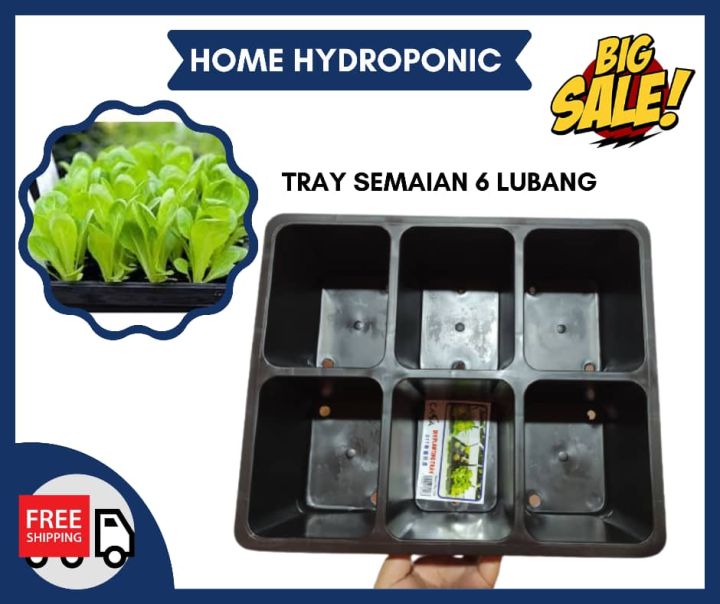 Tray Semai Anak Pokok / Tray Semaian / Germination Tray | Lazada