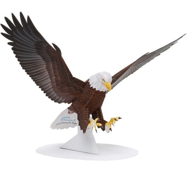 Bald Eagle (Male, Beating Their Wings) Papercraft | Lazada Indonesia