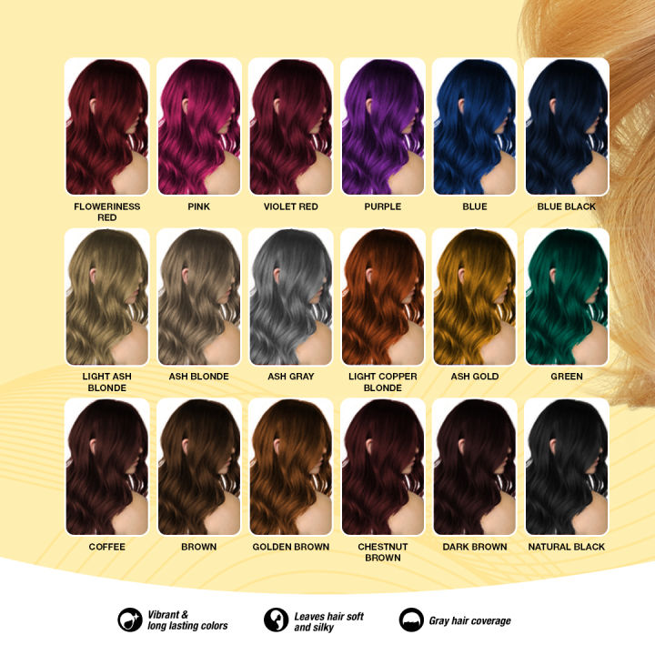 Merry Sun DIY Permanent Hair Color Hair Dye Kit | Lazada PH