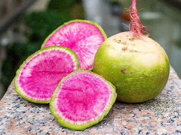Chinese Red Meat Radish Plant seeds | Lazada PH
