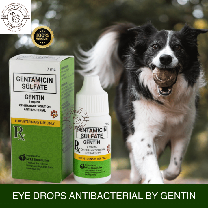 GENTIN GENTAMICIN EYE DROPS ANTIBACTERIAL | Lazada PH