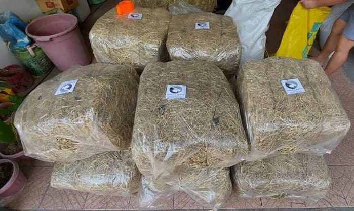 Star Grass Hay - Quality Local Hay | Lazada PH