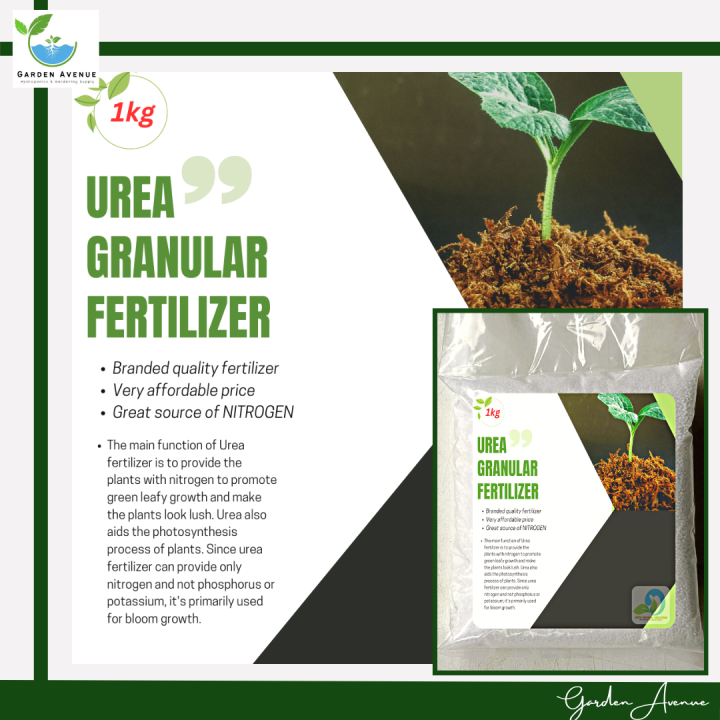 (1 KILO) UREA GRANULAR FERTILIZER - PINO/BRANDED AND QUALITY/EASY TO ...
