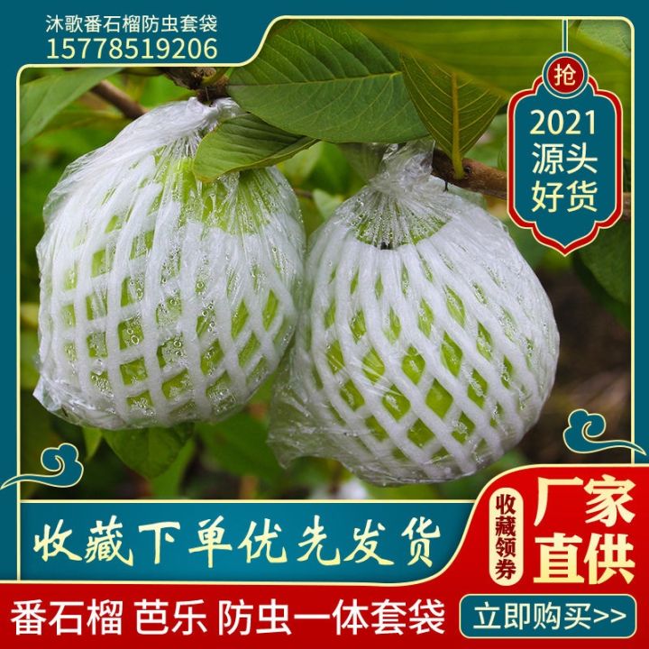 ♀ Guava bag mesh insect-proof special integrated foam packaging ...