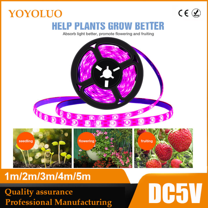 LED Grow Light Phytolamp for Plants LED Strip Indoor Gardening Flower ...