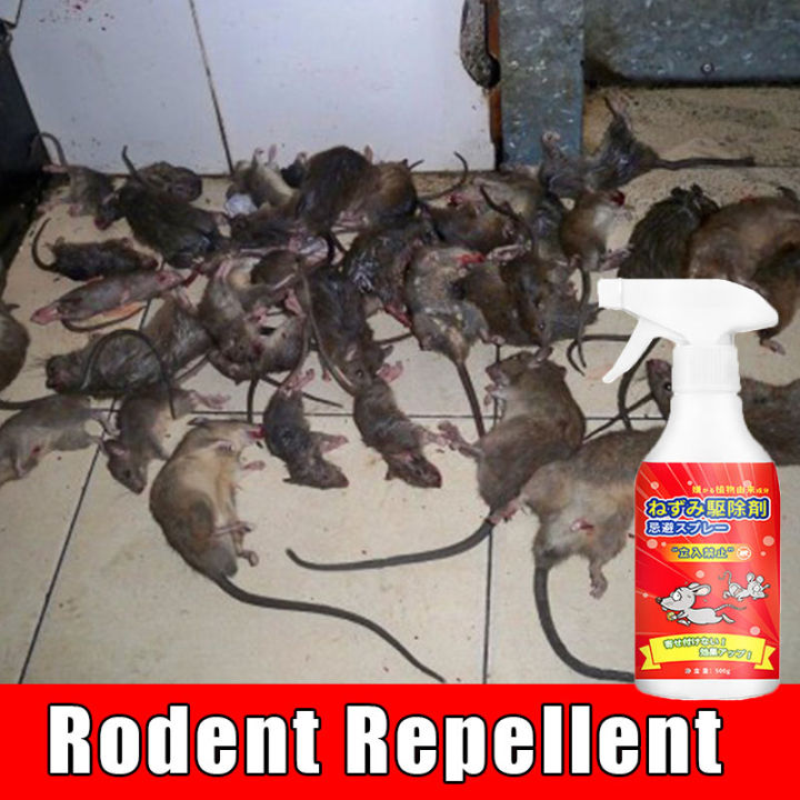 Mice are gone, rat repellent spray, rat repellent liquid, rat repellent ...