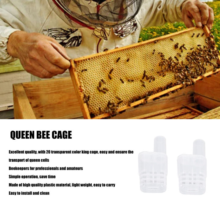 Queen Bee Cage King Cage Transport Box Easy To Carry for Bee Farm ...