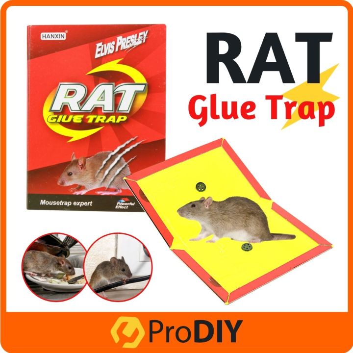 1PCS HX-6009 Mouse Catcher Trap Super Glue Rat Bugs Safe Trapper Rat ...