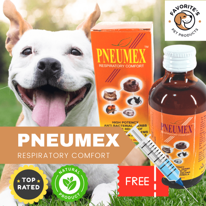 Pneumex Cough Syrup for Dogs and Cats - 60ML (FREE Syringe) | Lazada PH