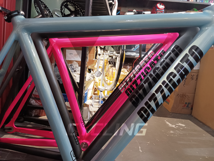 PIZZ Pizzicato T1 Track Frame Set | Lazada PH