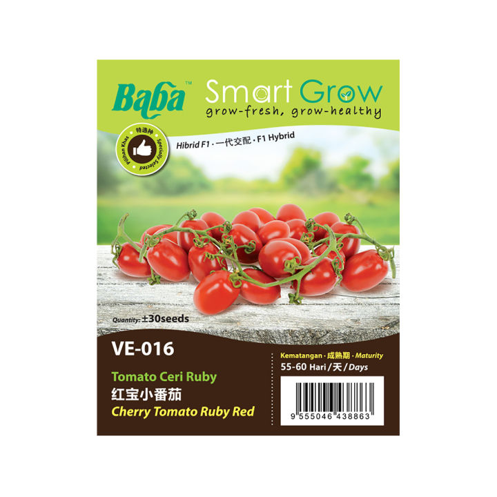 BABA VE-016 Smart Grow Tomato Cherry Tomato Ruby Red (Vegetable seed ...