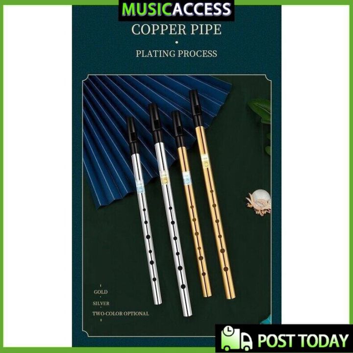 Irish Whistle Ireland Flute Feadog Tin whistle Key of C/D Pennywhistle ...