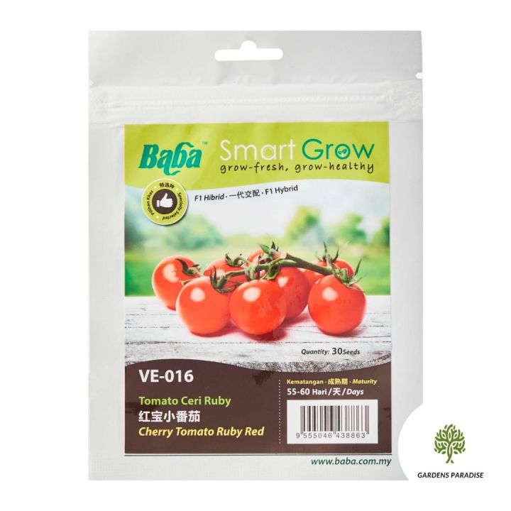BABA Cherry Tomato Ruby Red Seeds By Gardens Paradise VE-016 | Lazada ...