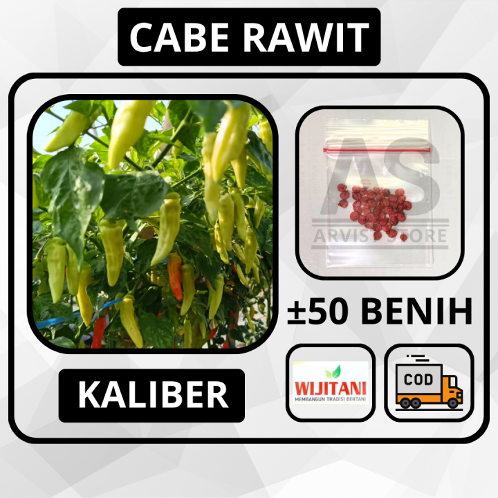 ±50 Butir – Benih CABE RAWIT KALIBER Cabai Wiji Tani Lombok Bibit Sayur ...