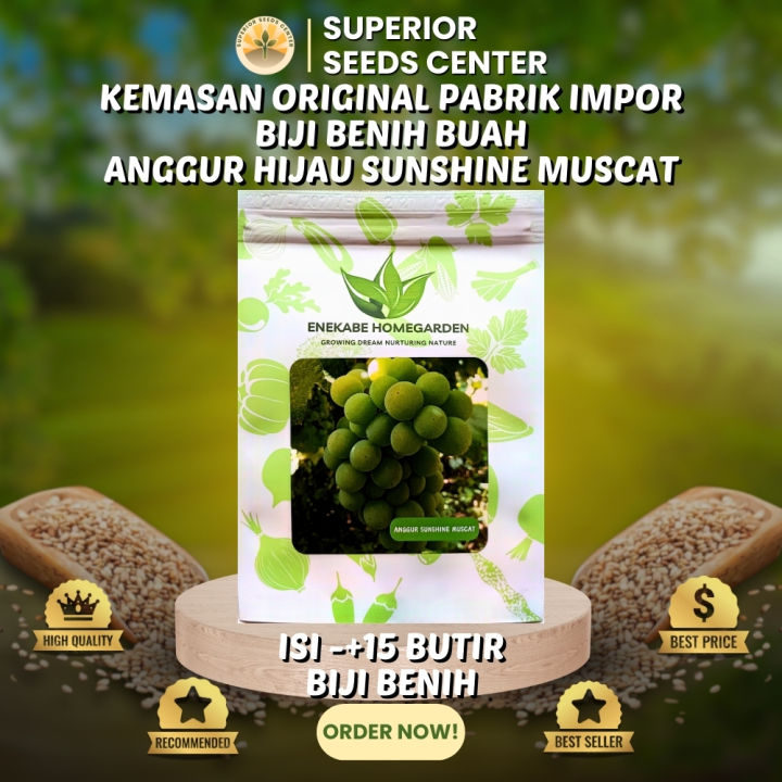 15 Butir Biji Benih Buah Anggur Hijau Sunshine Muscat (Kemasan Original ...