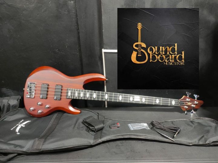 Skywing Bass Guitar Active Pick-Up With Free Accessories | Lazada PH