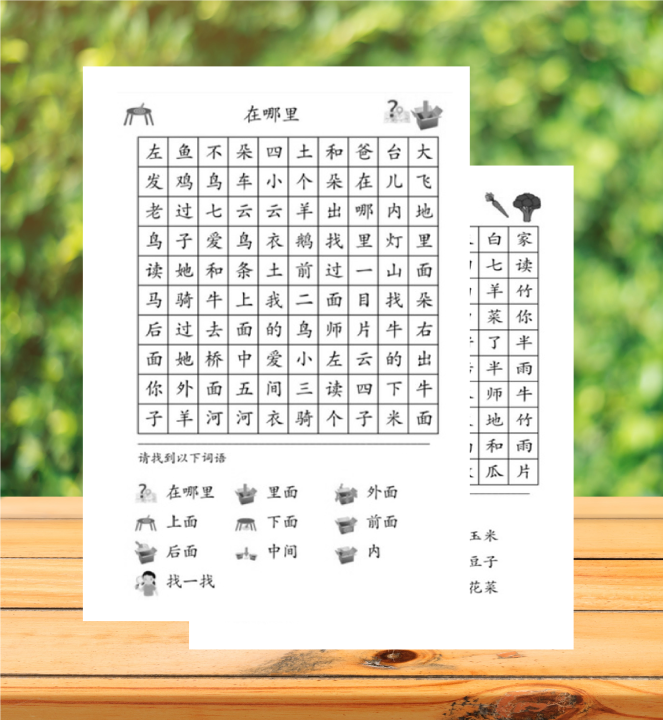 中文找词汇儿童认字练习40页符答案华语识字 Chinese Word Search Worksheet | Lazada