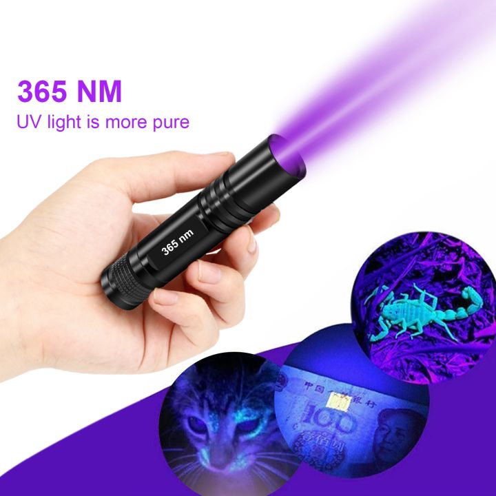 365nm UV Flashlight Handheld Ultraviolet Mini Torch Blacklight with AA ...