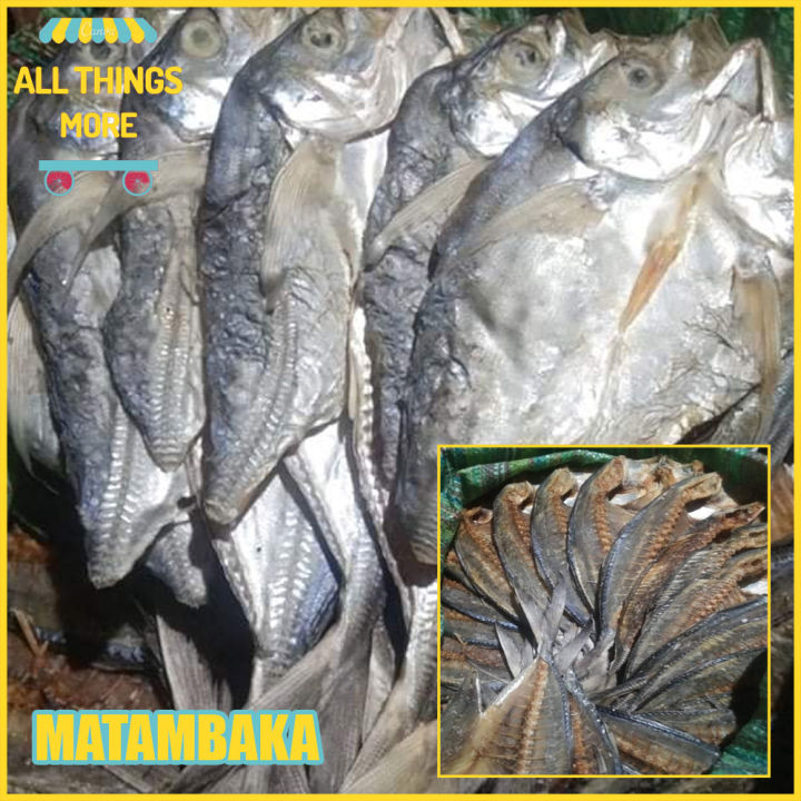 All Things More Matambaka 100g 250g 500g 1kilo fresh from cebu from ...