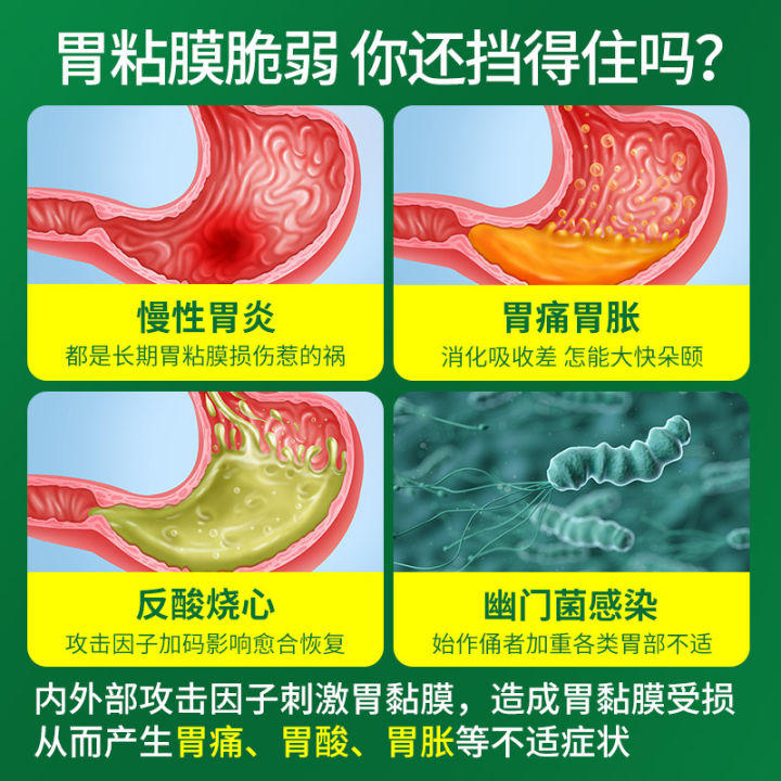 Drug treatment of genuine Helicobacter pylori quadruple with colloidal ...