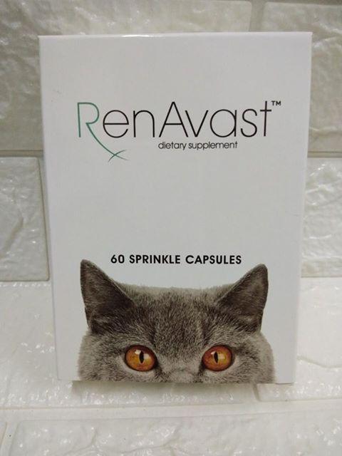 Renavast cat 300 mg 60 เม็ด วิตตามินบำรุงไตสำหรับแมว ทะเบียนอาหารสัตว์ ...