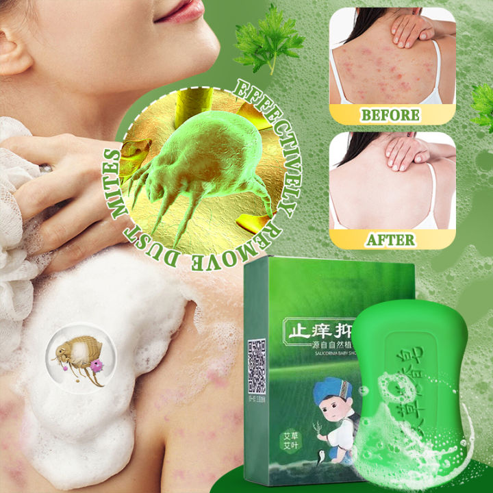 Natural Plant Essence Soap Wormwood Mite Acne Soap Psoriasis Antifungal ...