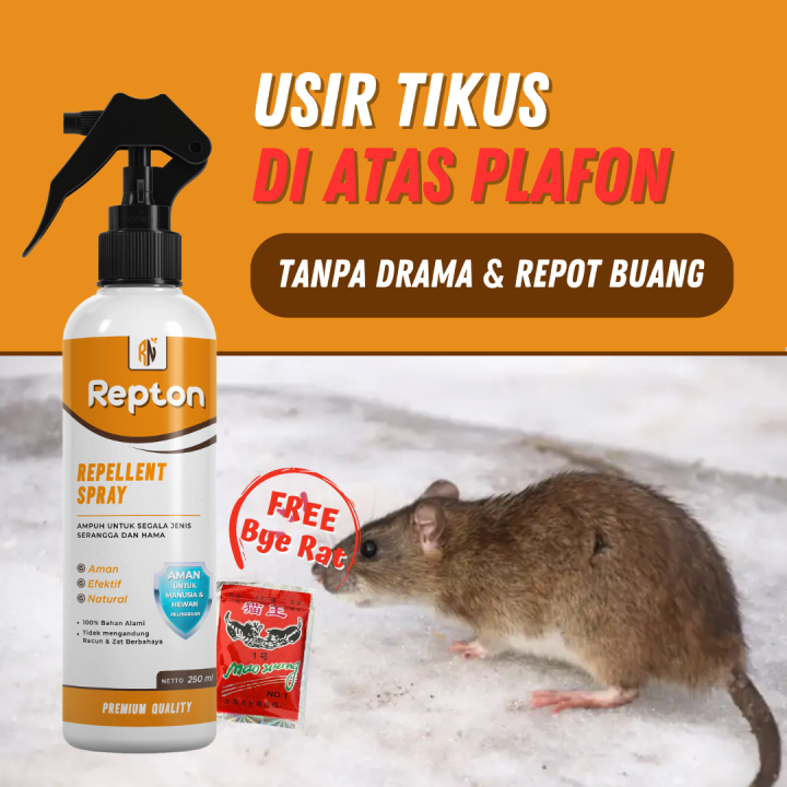 Repton Pengusir Tikus Ampuh di Atas Plafon Rumah Repellent Spray Anti ...
