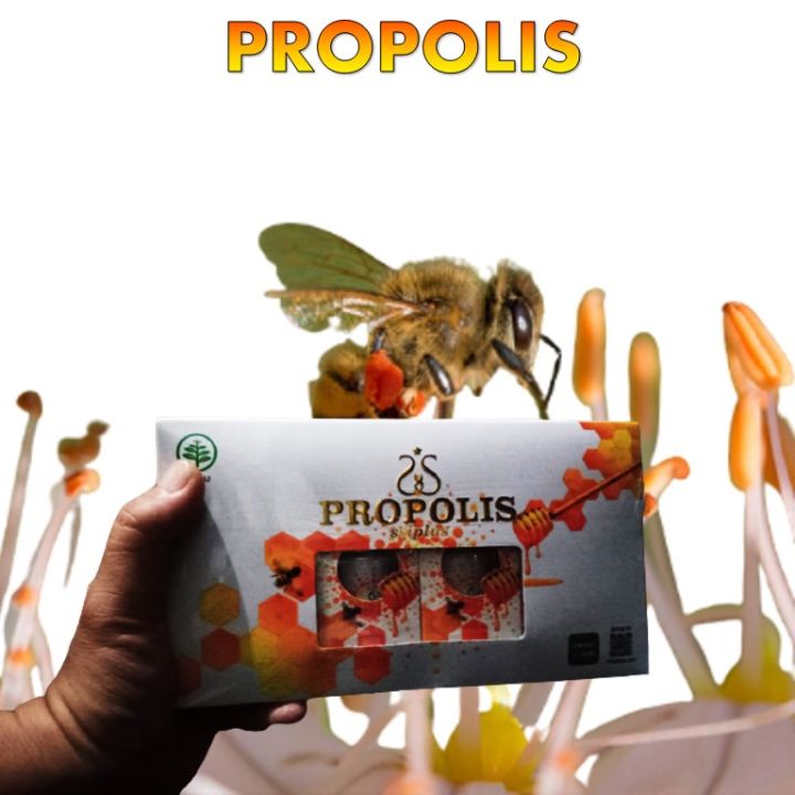 PROPOLIS OBAT RADANG TENGGOROKAN / OBAT ASAM LAMBUNG / OBAT SAKIT GIGI ...