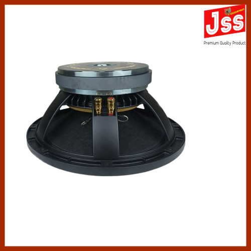 Joson Stage 12 Sub 800-1000W 12 Inch Professional Sub Speaker | Lazada PH