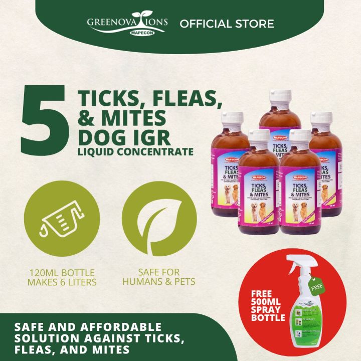 MAPECON GREENOVATIONS DOG IGR Ticks, Fleas, Mites Killer — BUNDLE OF 5 ...