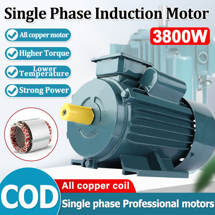 220V Single Phase Motor 3800W 5HP Electric Induction Motor (Copper ...
