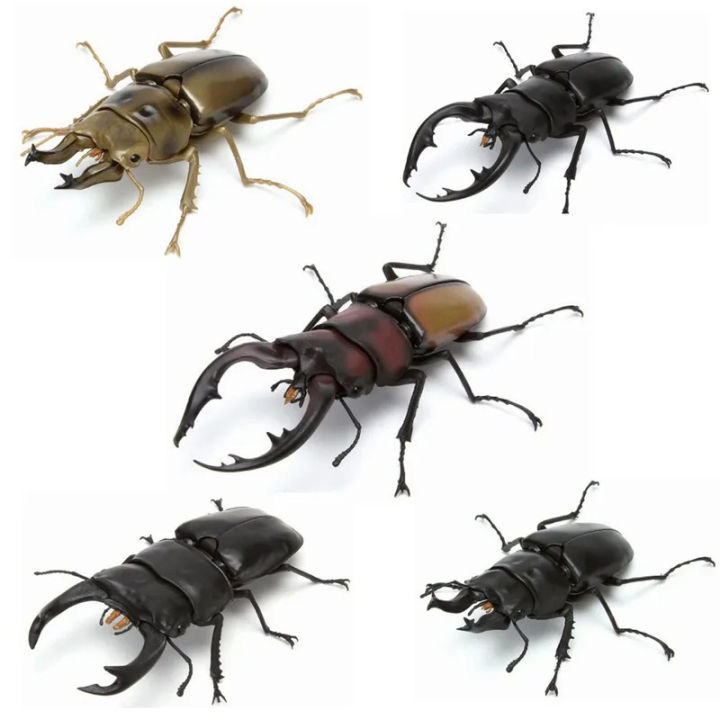 Bandai Genuine Gashapon Toys Movable Beetle Model Giant Insects ...