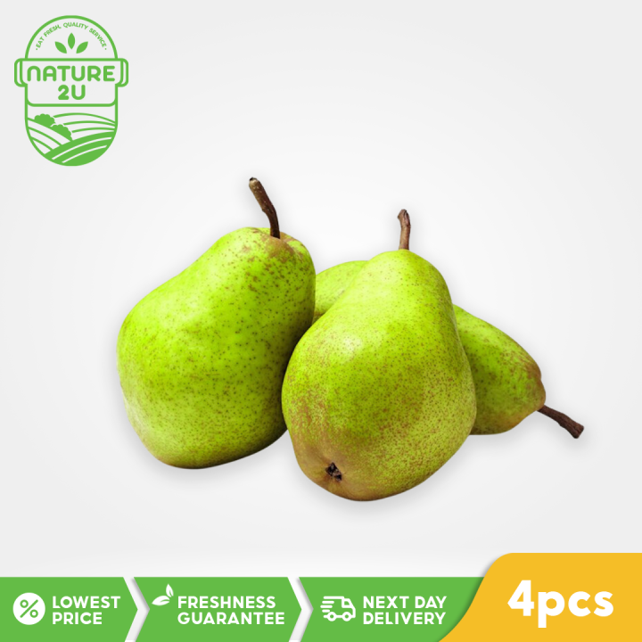 Nature2U Fresh Fruit - Pear Packham South Africa / 南非青啤梨 | Lazada