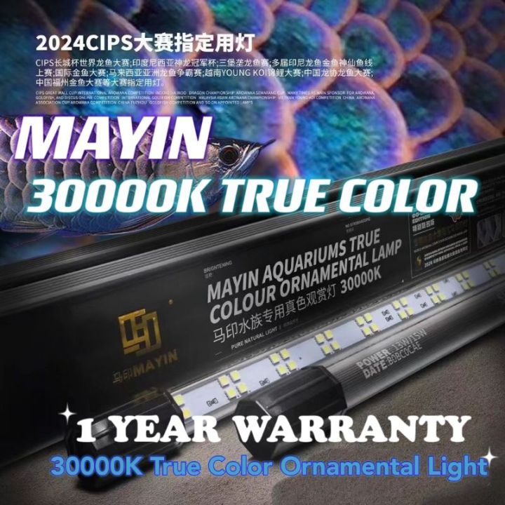 **NEW** Mayin True Ornamental Light for MGBB & gold arowana blue and ...