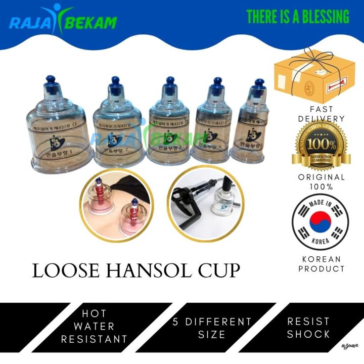 Cup Hansol Korea No.1 10pcs/box (Diameter in 5.5cm) [FREE 6 VIDEO ...