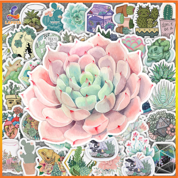 Set 50 cái Sticker Xương Rồng, Sticker Sen Đá, Decal Xương Rồng Chống ...