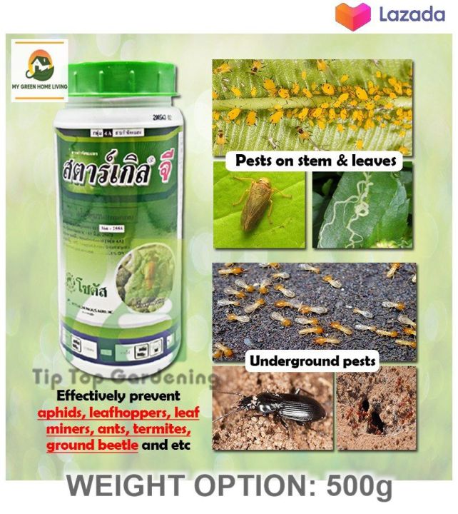 500g Thailand Starkle G Insecticide Gardening Use Kill Pest Insect ...