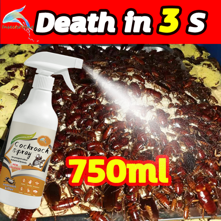 Cockroach Killer Spray 750ml No Pungent Odour Non-Toxic Kill All ...