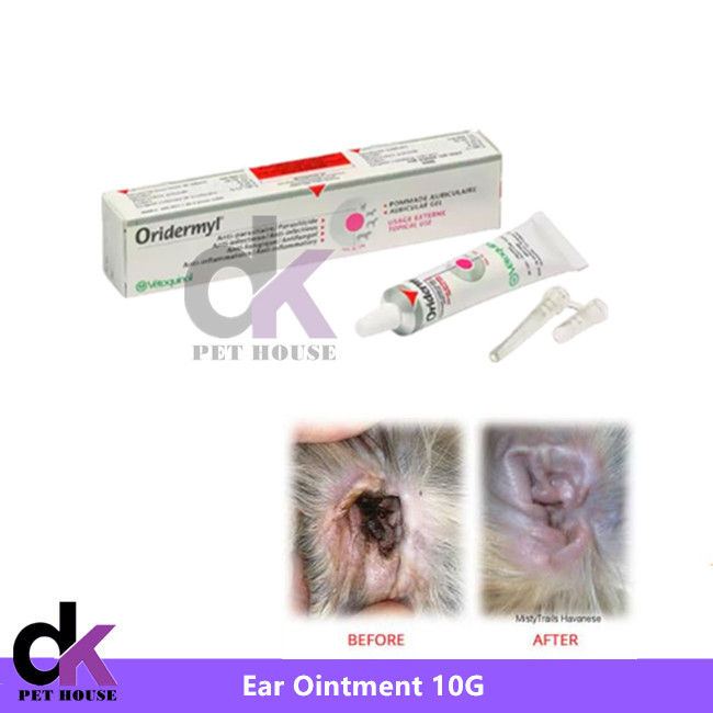 ORIDERMYL EAR OINTMENT 10G | Lazada