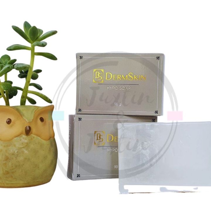 Dermskin Hypo Soap Bar | Lazada PH