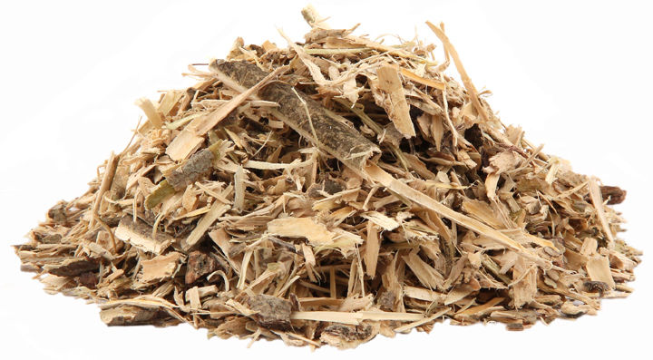 American Wahoo Bark (Euonymus atropurpureus) CANADA burning bush indian ...