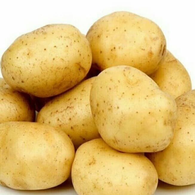 Kentang dieng Ukuran sedang fresh 1kg | Lazada Indonesia