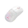 RAKK Talan Wireless Gaming Mouse, Wired gaming mouse with 100-16000 Max ...