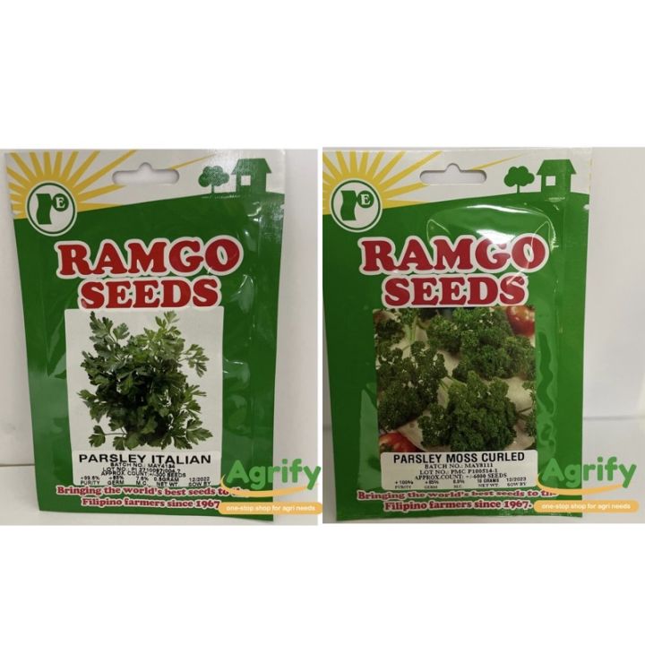 Parsley Moss Curled / Italian Ramgo Seeds | Lazada PH