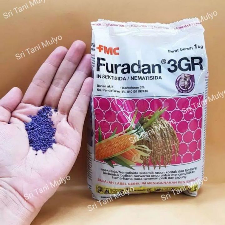 40.000Mg - Obat Hama Orong Orong, Rayap, Engkuk, Semut, Jangkrik, dll ...