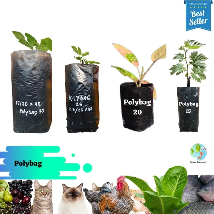 Polybag Kecil 500 Gram | Lazada Indonesia