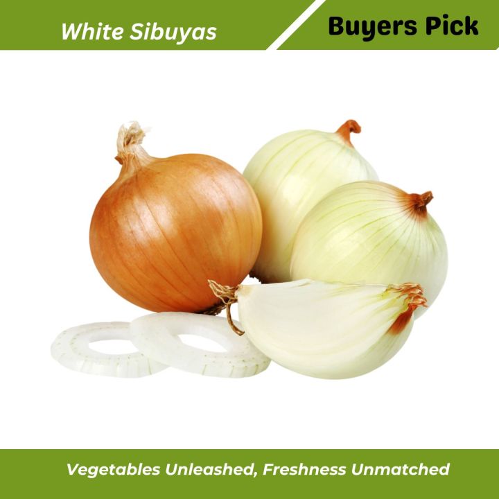 Puting Sibuyas White Onion Bulb | Lazada PH
