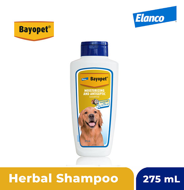 Bayopet Moisturizing And Antiseptic Shampoo 275ml Bottle | Lazada PH