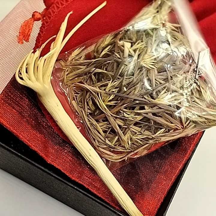 【🍀LUCKY CHARM🍀】TAGUPAYPAY, BULAKLAK NG TANGLAD Mabisang Pampaswerte ...